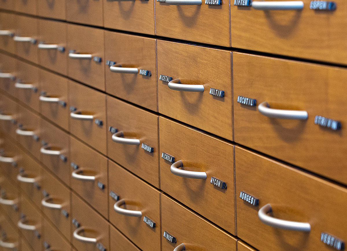 Apotheke zum heiligen Paulus